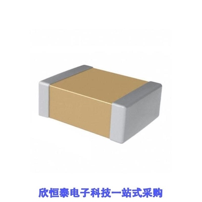 ERS0JM222G20OT/ERS0JM471E12OT/ERS0JM681F12C32