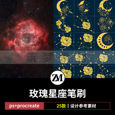 ps笔刷procreate笔刷玫瑰图案星座星空图腾月亮星星装饰星系绘画