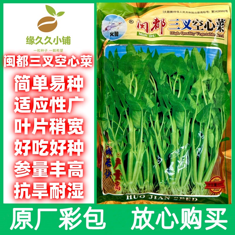 三叉空心菜种子原厂彩包春夏秋好吃肉多水田旱地可种蔬菜种籽