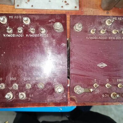 英国沃登电原牛--议价商品
