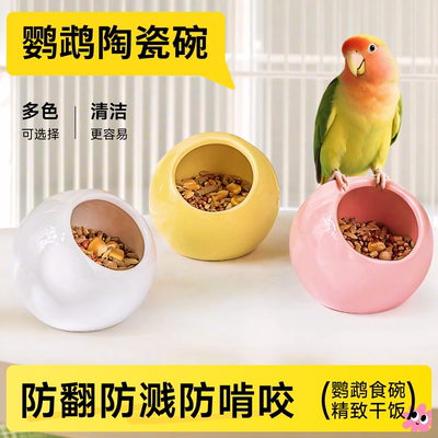 鹦鹉食盒防溅陶瓷喂食器小鸟食杯玄凤小鸡防撒防甩防打翻喂鸟神器