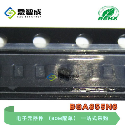 TSNP-6BGA855N6无线和射频