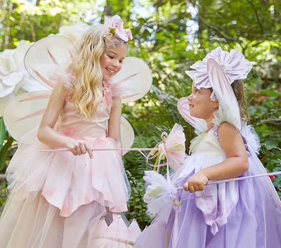 【国内现货】美国正品仙女翅膀