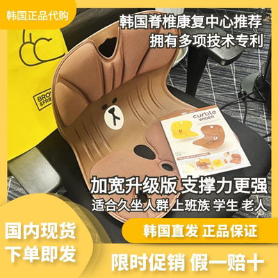 韩国进口矫正坐姿护腰靠垫现货