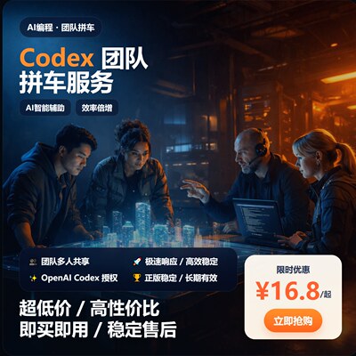 codex team拼车 business套餐 稳定保障 售后质保30天 自助激活