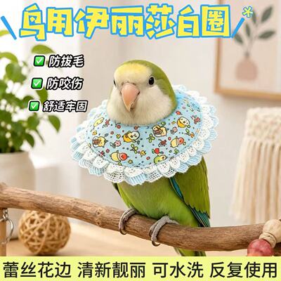 鸟用伊丽莎白圈防拔毛防咬伤可水洗蕾丝花边鹦鹉围脖可折叠便携
