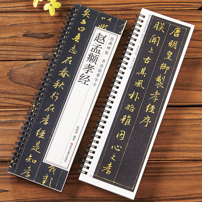 赵孟頫孝经 经典碑帖书法临摹字卡 行书毛笔书法字帖 简体旁注原色原帖全文成人学生初学者基础入门 近距离临摹字卡 黑龙江美术