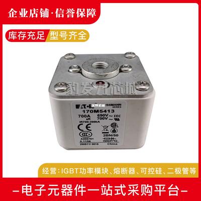 170m5394170m5395170m5396170m5397170m5398熔断器全新现货