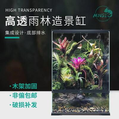 mius妙思雨林缸造景超白玻璃箱热带雨林植物水族饲养箱动物用品