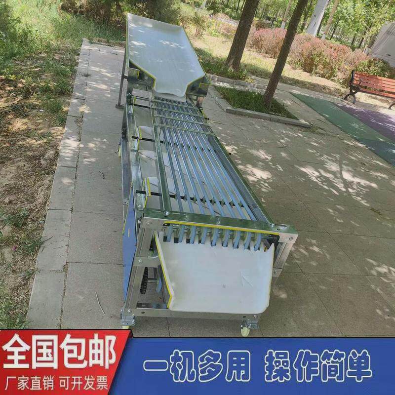 筛选机分选机楂分级机草菇樱桃圣女果李子分拣选果机全自动多功能