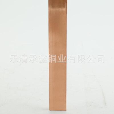 源头厂家供应镀锡紫铜条现货紫铜条可任意切割延展性好4X40紫铜条