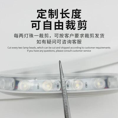 24vled柔性洗墙灯带漫反射透镜户外防水可弯曲亮化招牌灯带软灯条