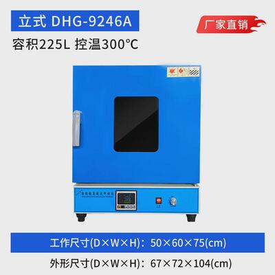 上海叶拓DHG系列250/300℃实验室干燥箱烘箱鼓电热恒温鼓风干燥箱