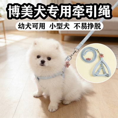 博美犬胸背可伸缩防挣脱牵引绳