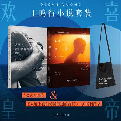 王鸥行小说套装2册：欢喜皇帝+大地上我们转瞬即逝的绚烂 呈现了最真实的普通劳动者和年轻人的生活 书写人与人之间的善意 未读
