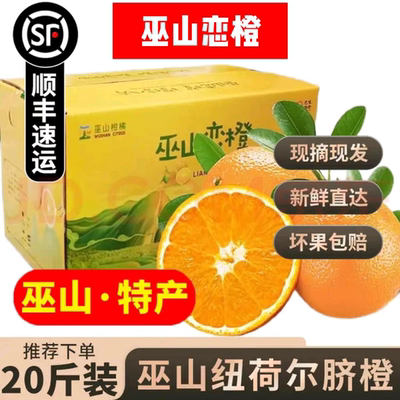 礼盒自家果园重庆巫山曲