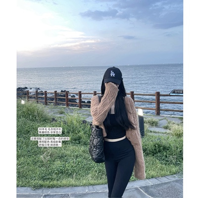 30羊毛慵懒风短款毛衣加密针织