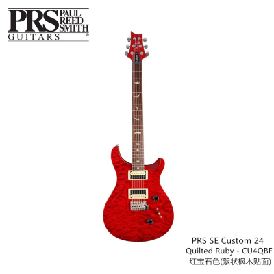 24电吉他电吉他PRS絮状