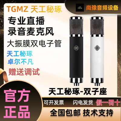 天工秘琢TGMZ双子座电子管麦克风录音直播唱歌国产品牌匠心打造