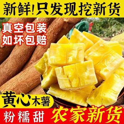 食用黄心木薯新鲜即挖黄肉面包薯无公害华南9号真空包装木薯商用