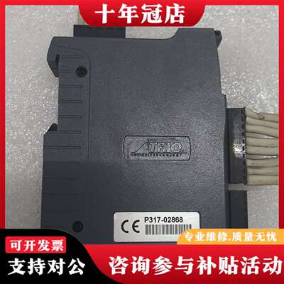 维修TRIO 控制模块，型号 P317-02868 直流电议价