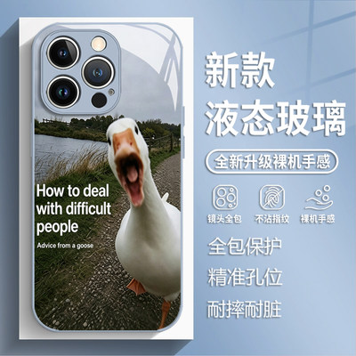 怒鹅训诫适用苹果17proma