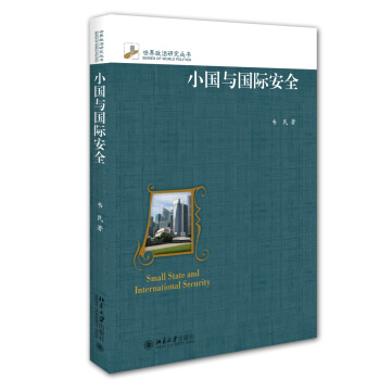 小国与国际安全 世界政治研究丛书 北京大学旗舰店正版