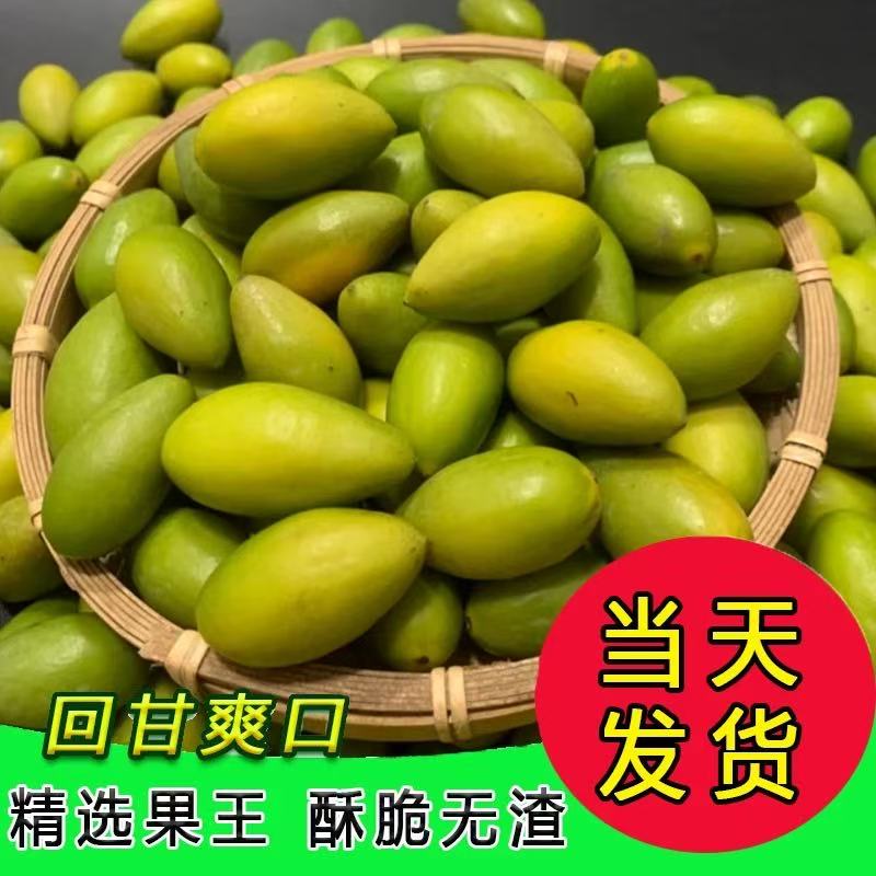 潮汕特产现摘新鲜香脆橄榄果生吃酥脆回甘甜浓郁泡酒孕妇煲汤腌制