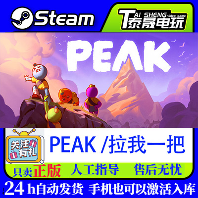 Steam正版国区Cdkey PEAK 拉我一把 正版联机 激活码入库