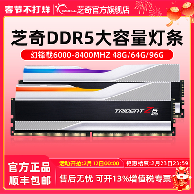 芝奇ddr5幻锋戟内存条G.Skill