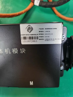 雷丁芒果 合肥国轩高科 磷酸铁锂动力电池包，115.2V 150Ah 17.