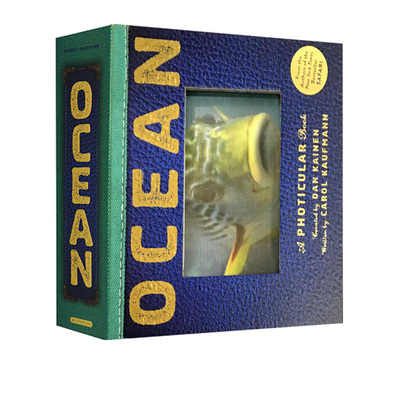 Ocean海洋光与影视觉动画图片