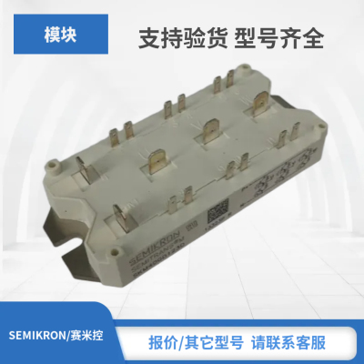 SEMIKRON赛米控IGBT模块SKM75GD101D SKM40GDL123D SKM40GDL124D