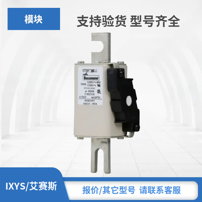 170M3241 170M3242 170M3243 170M3244巴斯曼Bussmann熔断器现货