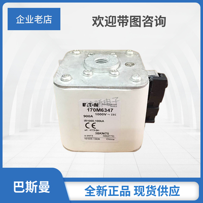 巴斯曼全新正品快速熔断器保险丝