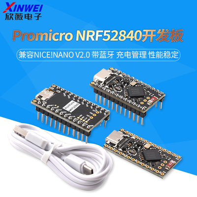 PromicroNRF52840开发板