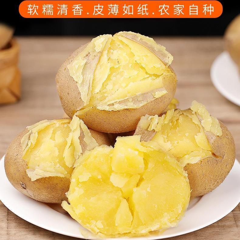 云南高山2026年老品种米拉洋芋黄皮黄心土豆现挖现发自然成熟软糯