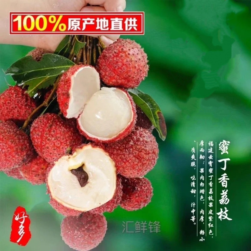 福建云霄特产蜜丁香荔枝肉厚清甜爽滑新鲜现摘当季水果