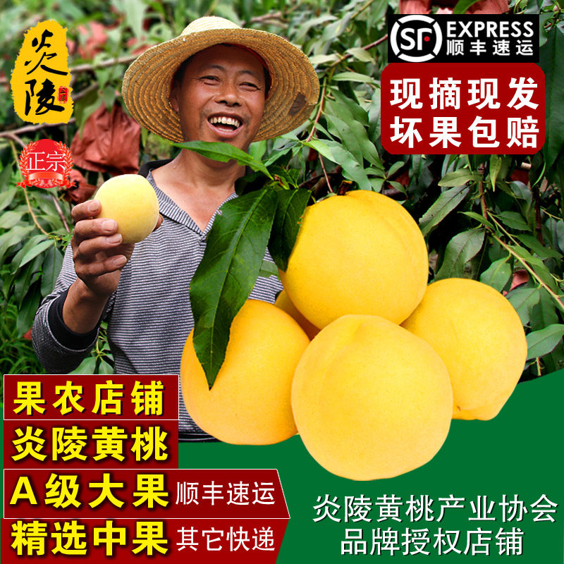 湖南炎陵黄桃果农现摘现发新鲜孕妇水果桃子5斤10斤礼盒装包邮