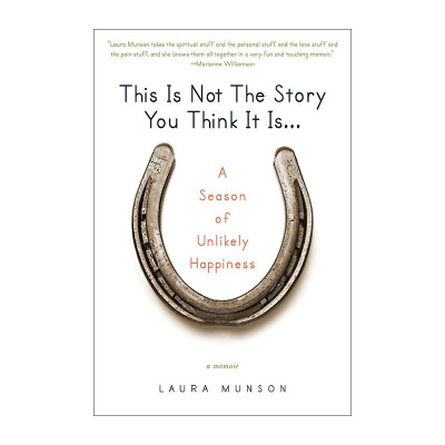 英文原版 This Is Not the Story You Think It Is 有一种爱叫我不在乎 爱与痛中的挣扎与絮语 传记 Laura Munson进口英语原版书籍