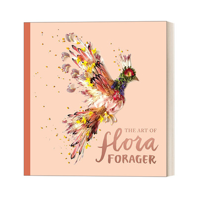 英文原版 The Art of Flora Forager 插花艺术 植物艺术绘画 Bridget Beth Collins 精装艺术图册 英文版 进口英语原版书籍