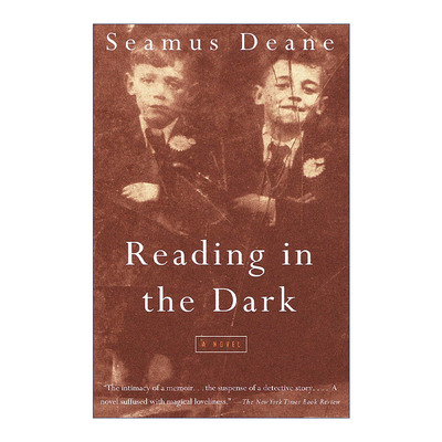 英文原版 Reading in the Dark Vintage International 在黑暗中阅读 卫报小说奖 Seamus Deane 英文版 进口英语原版书籍