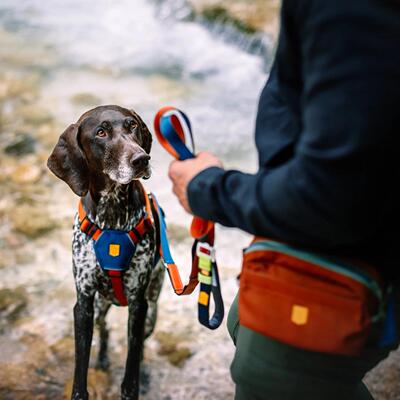 【现货】牵引绳24年秋冬新款！多彩混合北欧woolly wolf petisan