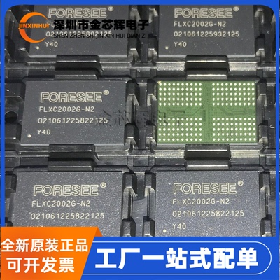 FLXC2002G-N2BGA-200存储器芯片