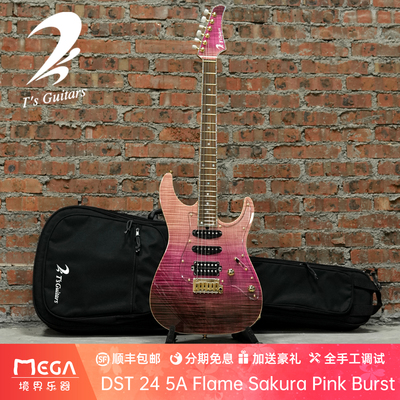 T'sGuitars245A电吉他