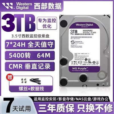西部数据专业全天录像监控紫盘