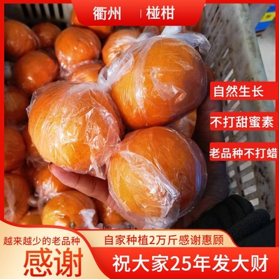 衢州衢州椪柑农家自种农户直发