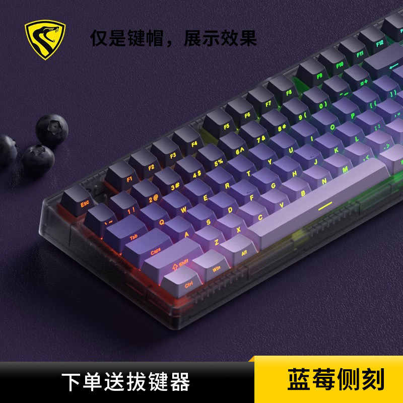 腹灵蓝莓侧刻键帽透光PBT材质OEM高度渐变75/82/87/98/104/108键