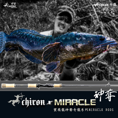 神夺Centaur超硬路亚雷强竿枪柄