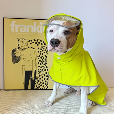 宠物全包防水户外中大型犬雨披